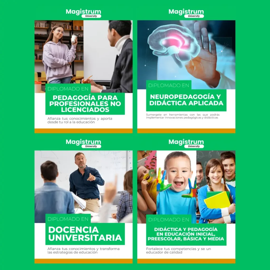 Programas - Magistrum University